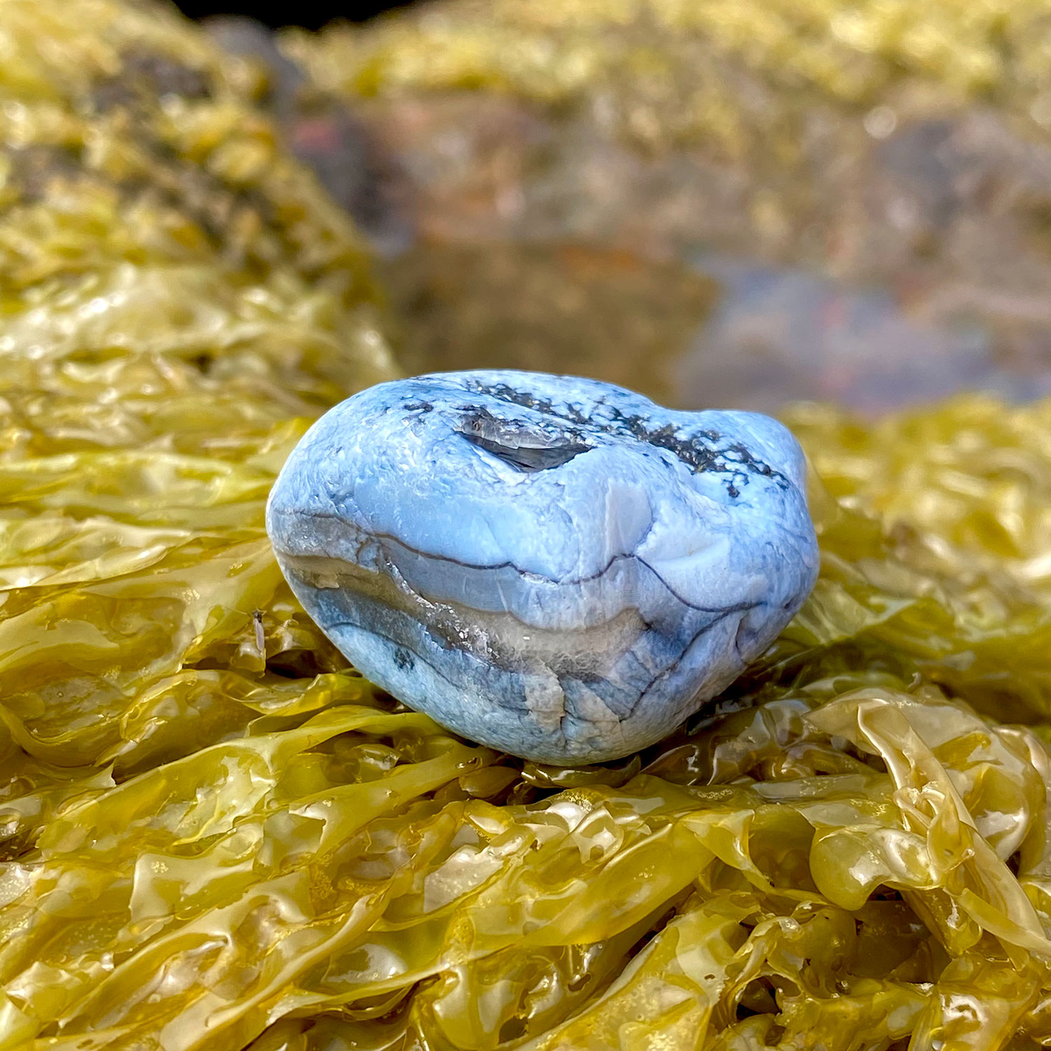 Julie Alexander | Austin Studio Tour